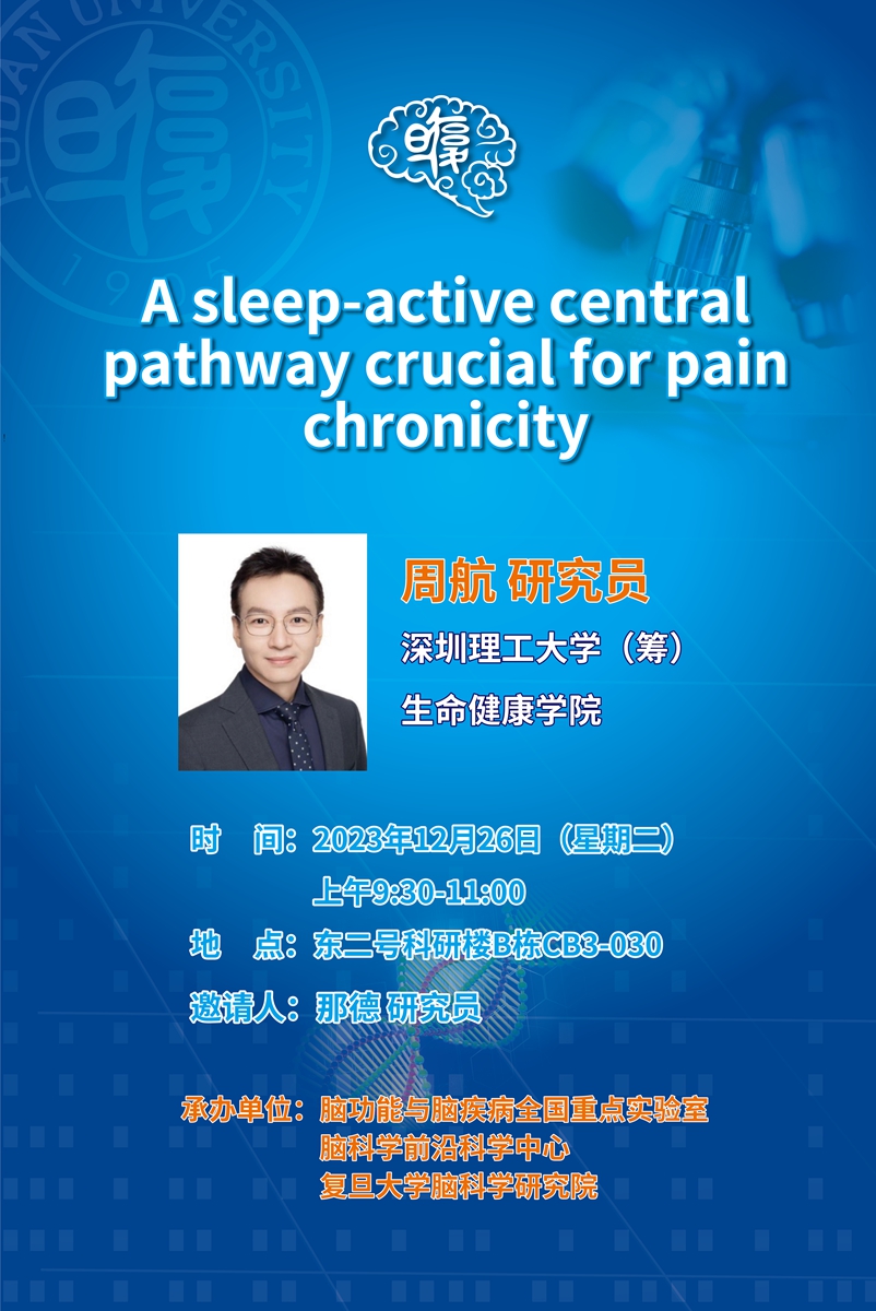 A sleep-active central pathway crucial for pain chronicity